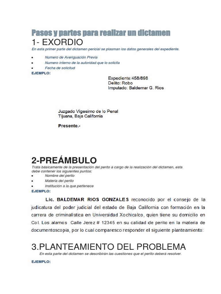 5 Pasos y Partes Para Realizar Un Dictamen