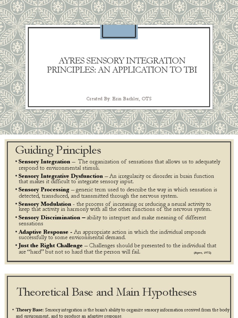Ayres Sensory Integration Principles | PDF | Senses | Perception
