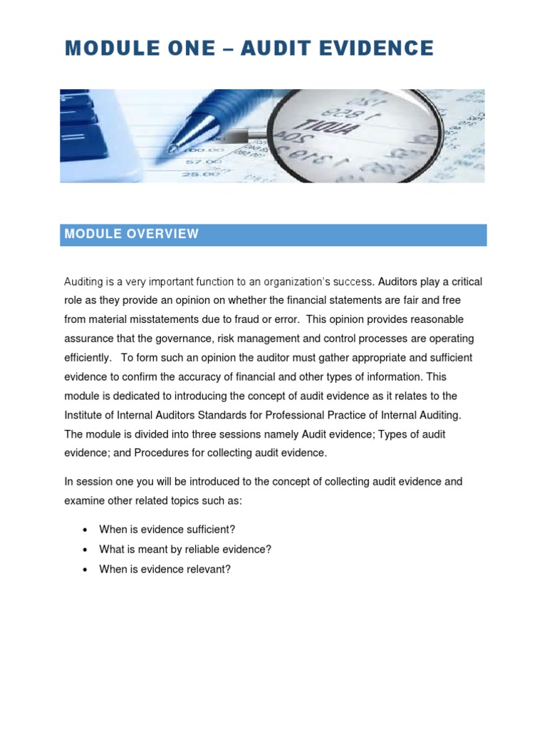 What Is Audit Evidence | PDF | Internal Audit | Audit
