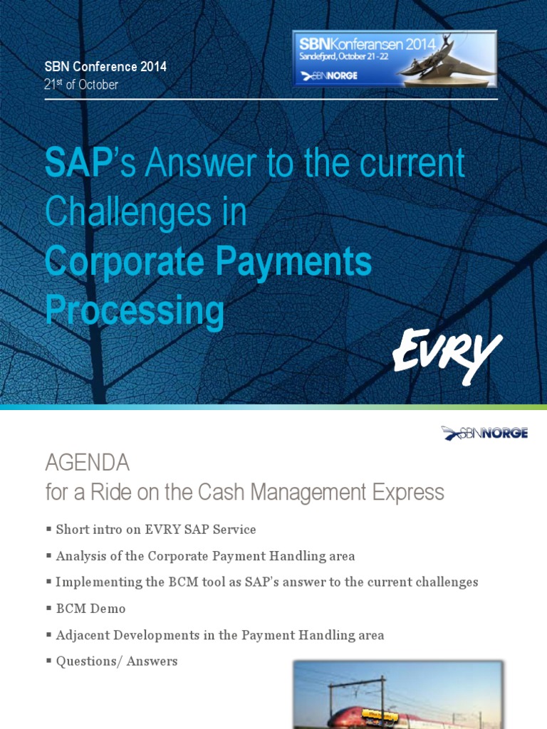 Bring Your Payments Up To Full Speed ? Saps Bank Communication ...