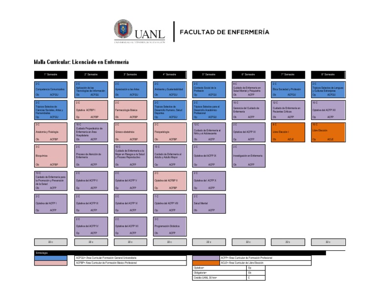 Licenciado en Enfermería-Malla Curricular | PDF | Enfermería | Salud mental