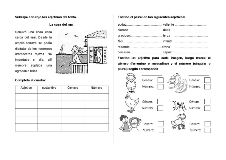 Adjetivos Género y Número | PDF