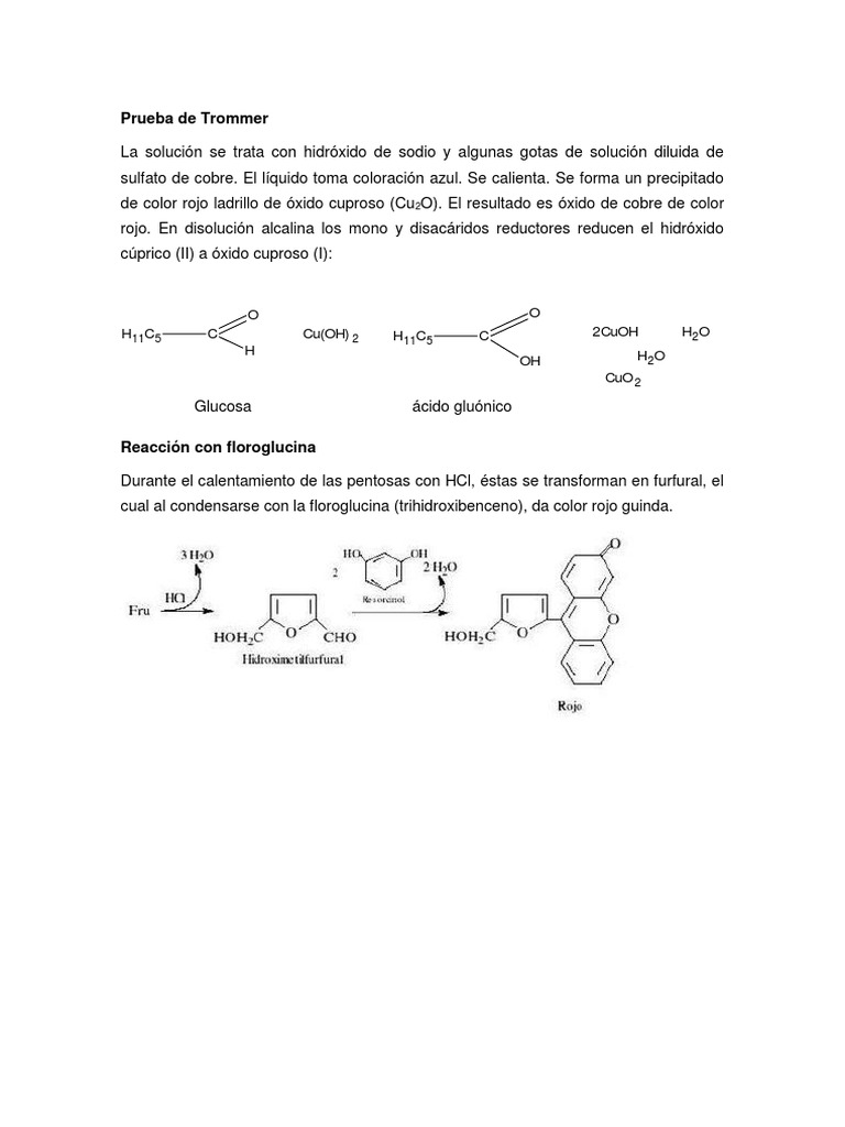 Prueba de Trommer y Reacción de Floroglucina | PDF
