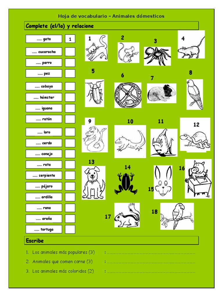 Vocabulario de Animales Domésticos | PDF | Naturaleza | Ocio