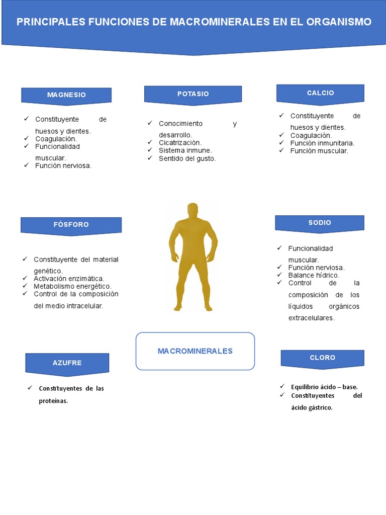 PRINCIPALES FUNCIONES DE MACROMINERALES EN EL ORGANISMO