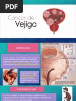 Íleo Meconial: Causas y Tratamiento | PDF | Gastroenterología | Rtt