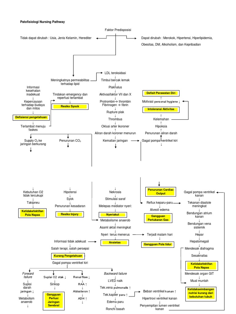 2.stemi Pathway | PDF