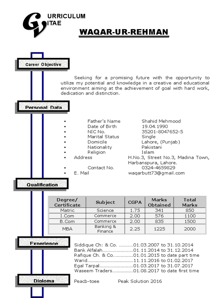 CV Waqar Ur Rehman | PDF | Behavior Modification