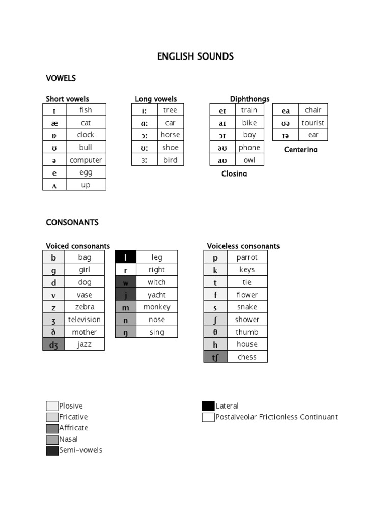 English Sounds | PDF