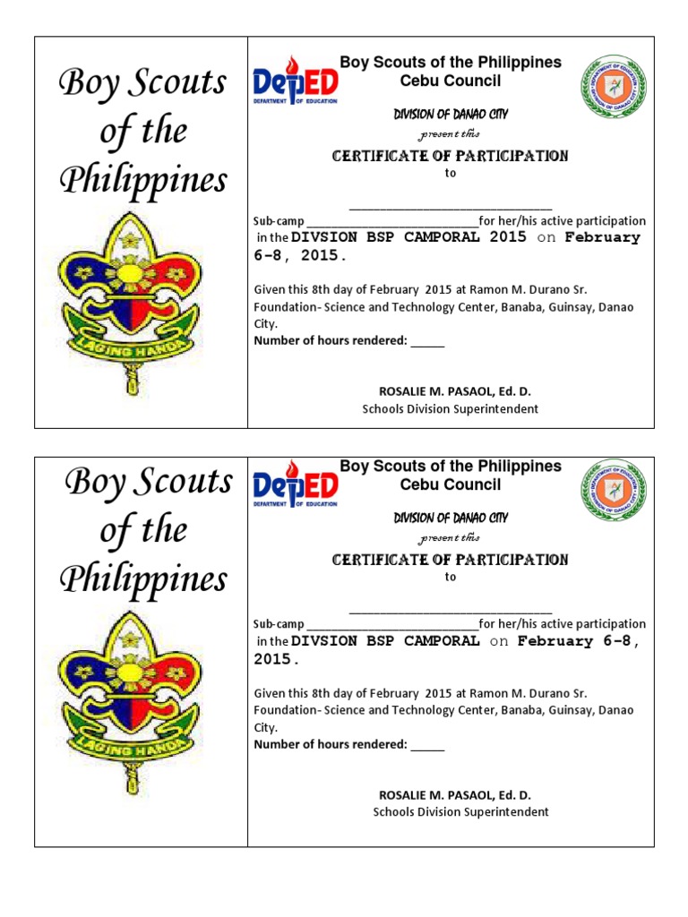 Boy Scouts Of The Philippines Certificate