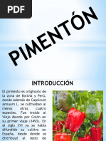 Proyecto de Locote en Paraguay | PDF | Pimiento | Economias