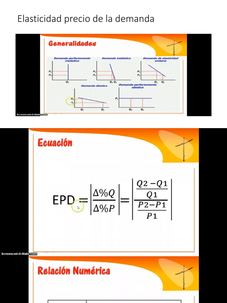 Ejercicios Elasticidad | PDF