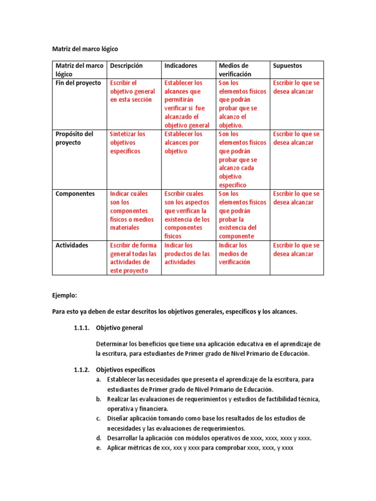 Ejemplo Matriz Del Marco Lógico (1) | Ciencias de la Computación | Software