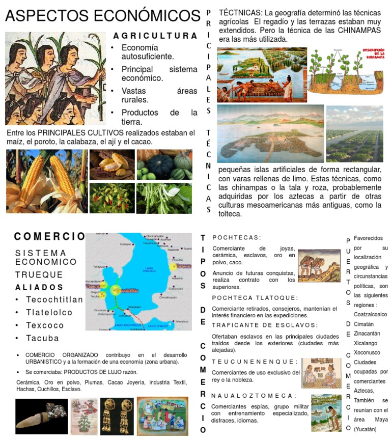 Economia Azteca | PDF | azteca