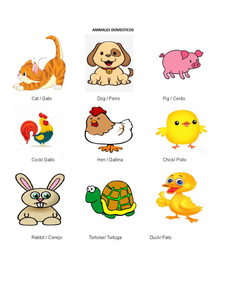 Una guía ilustrada de los animales domésticos y salvajes más comunes ...