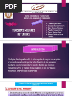 Clasificación de Winter | PDF | Naturaleza