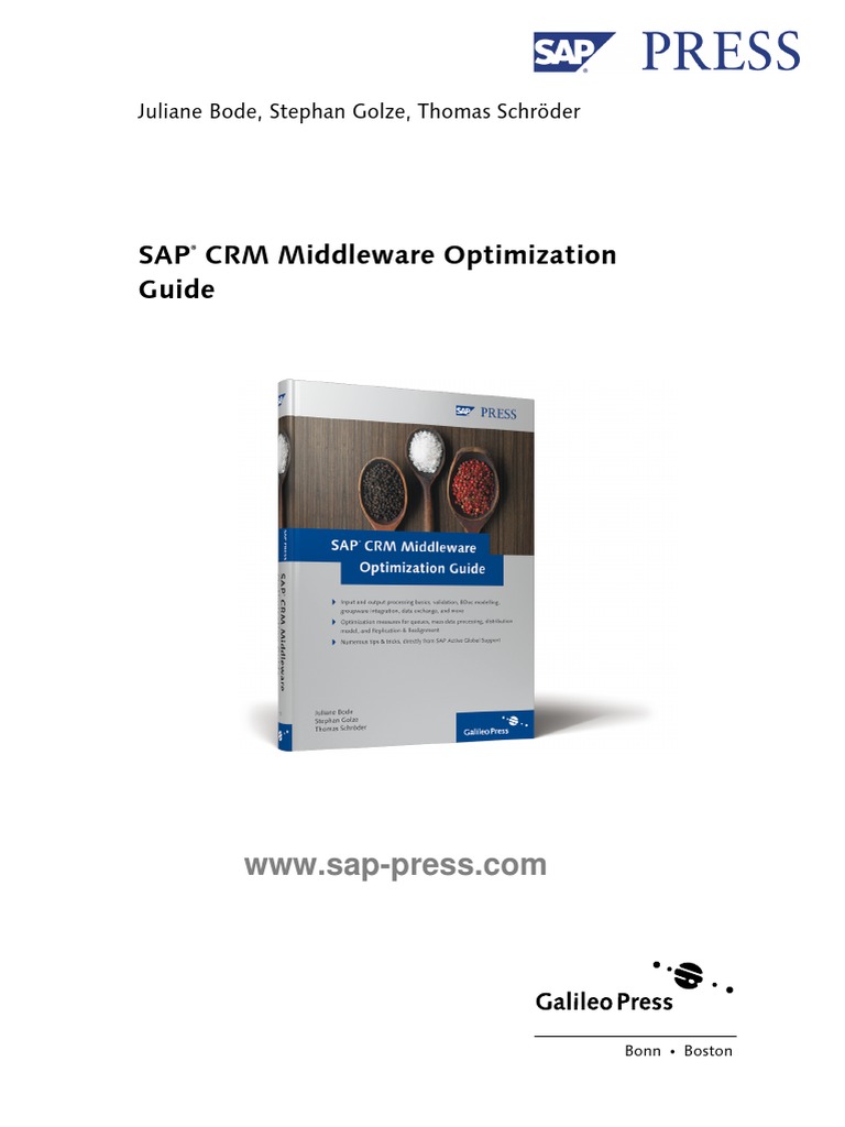 SAP CRM Middleware Optimization Guide: Juliane Bode, Stephan Golze ...