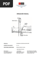 CISTOCLISIS | PDF | Vejiga urinaria | Orina