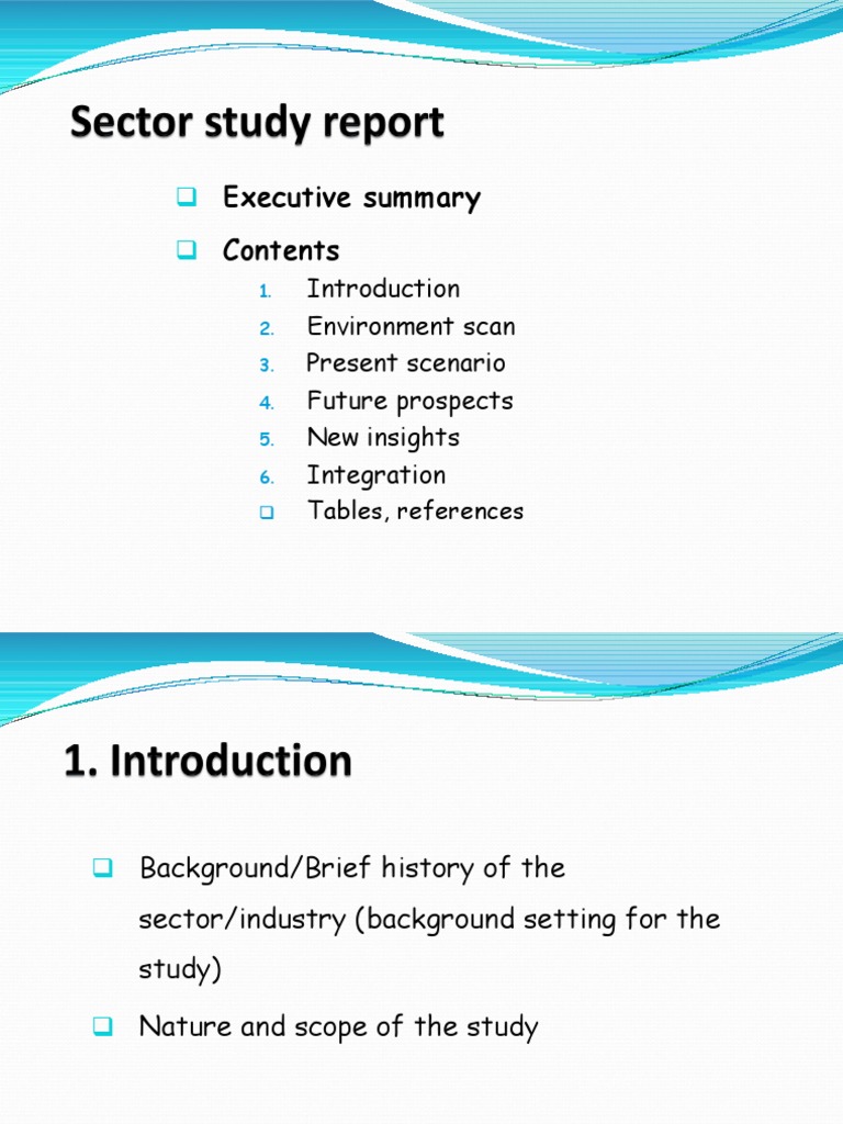 Sectoral Report Guidelines | PDF