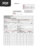 Formato Rips Diligenciar en Excel | PDF | Informática | Business