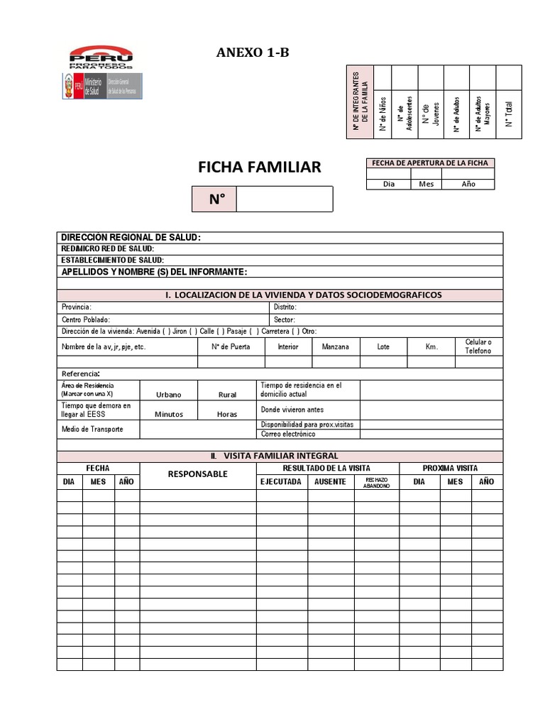 Ficha Familiar: Datos y Evaluación Integral | PDF | Familia | Adultos