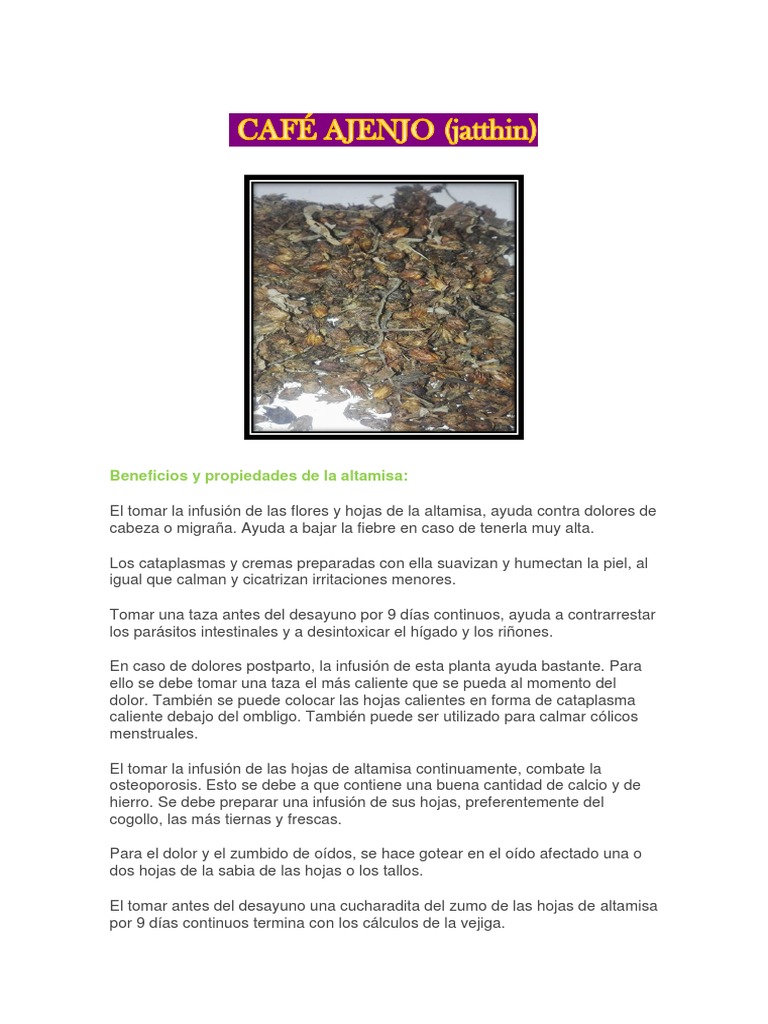 Beneficios de la altamisa medicinal | PDF | Inflamación | Enfermedades ...