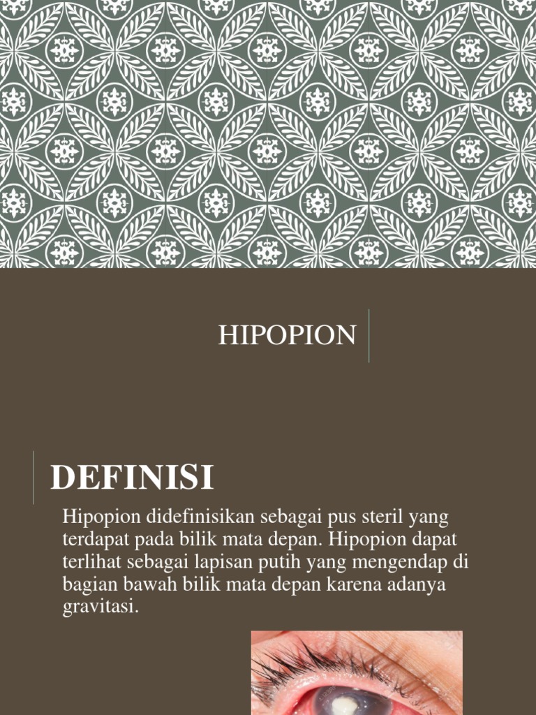 Hipopion | PDF