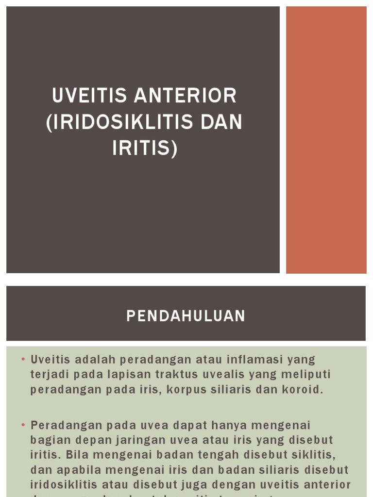 Iridosiklitis Iritis | PDF