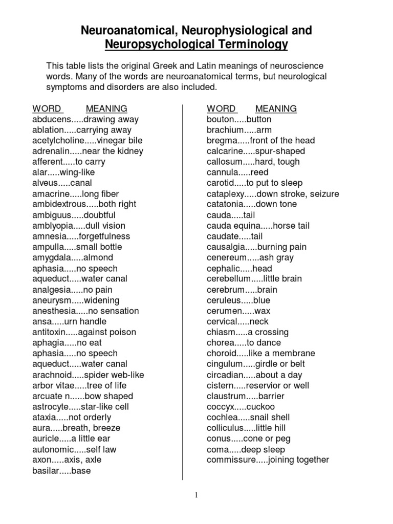 Neuroanatomical, Neurophysiological and Neuropsychological Terminology | PDF | Central Nervous ...