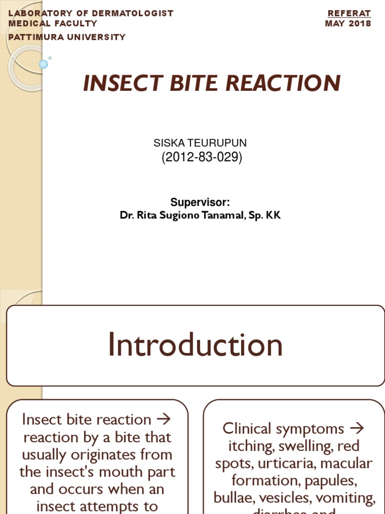 Ppt Insect Bite Reaction | Allergy | Dermatitis