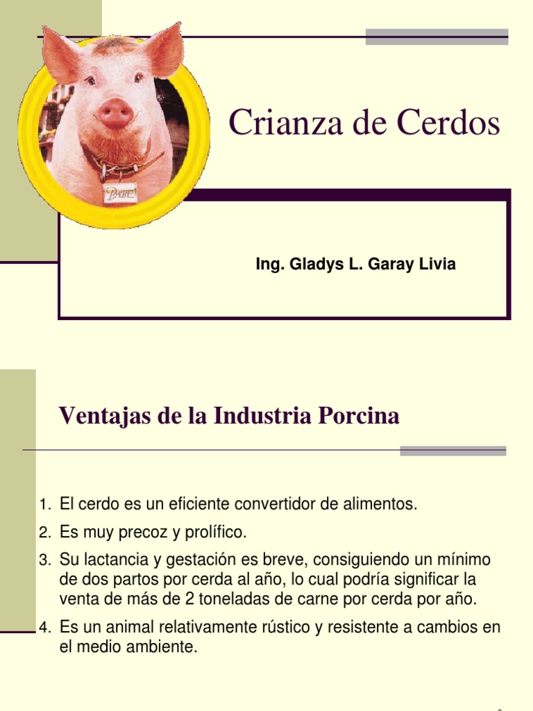 Industria Porcina | PDF | Parto | Cerdo doméstico