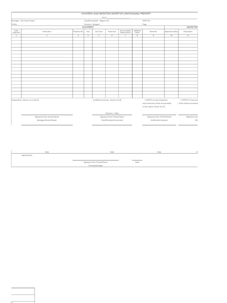 Iirup Form | PDF | Business Economics | Business