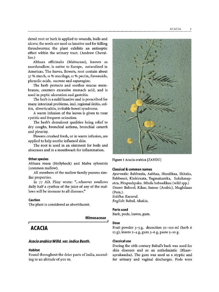 Acacia | PDF