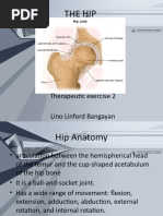FAI Non-Operative Rehab Protocol Guide | PDF | Musculoskeletal ...