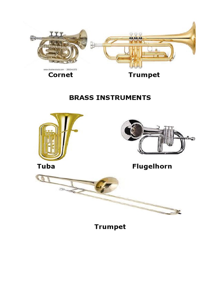 Cornet Trumpet Brass Instruments | PDF