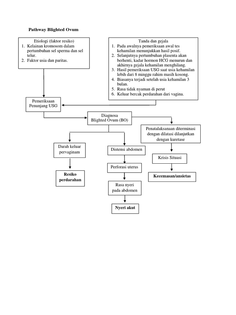 Pathway Blighted Ovum | PDF