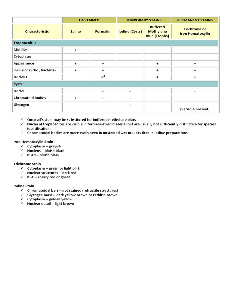Amoeba Chart | PDF | Staining | Cell Biology