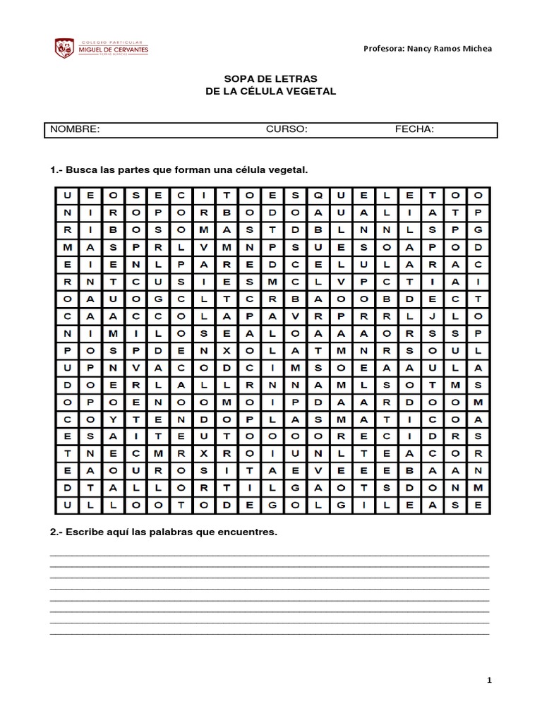 Sopa de Letra Celula Vegetal | PDF