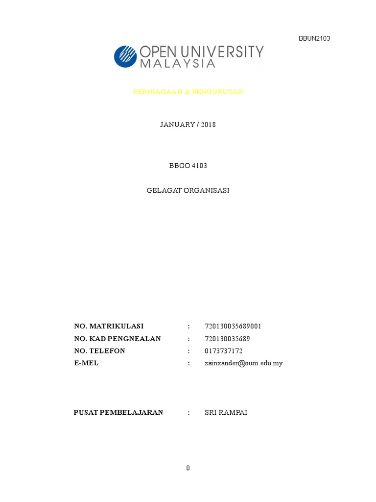 Assignment BBGO 4103 Gelagat Organisasi | PDF