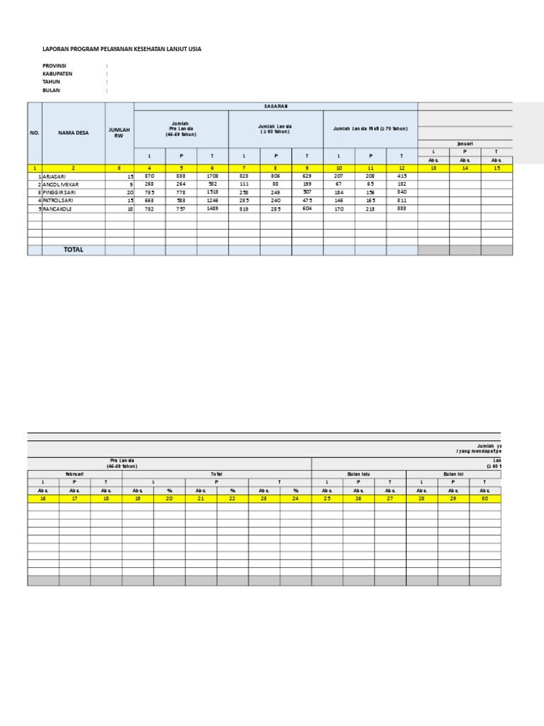 Form Laporan Bulanan Lansia & PWS | PDF