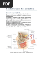 Inervación de La Laringe | PDF