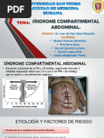 Incisión Rocky Davis | PDF | Medicina CLINICA | Anatomía