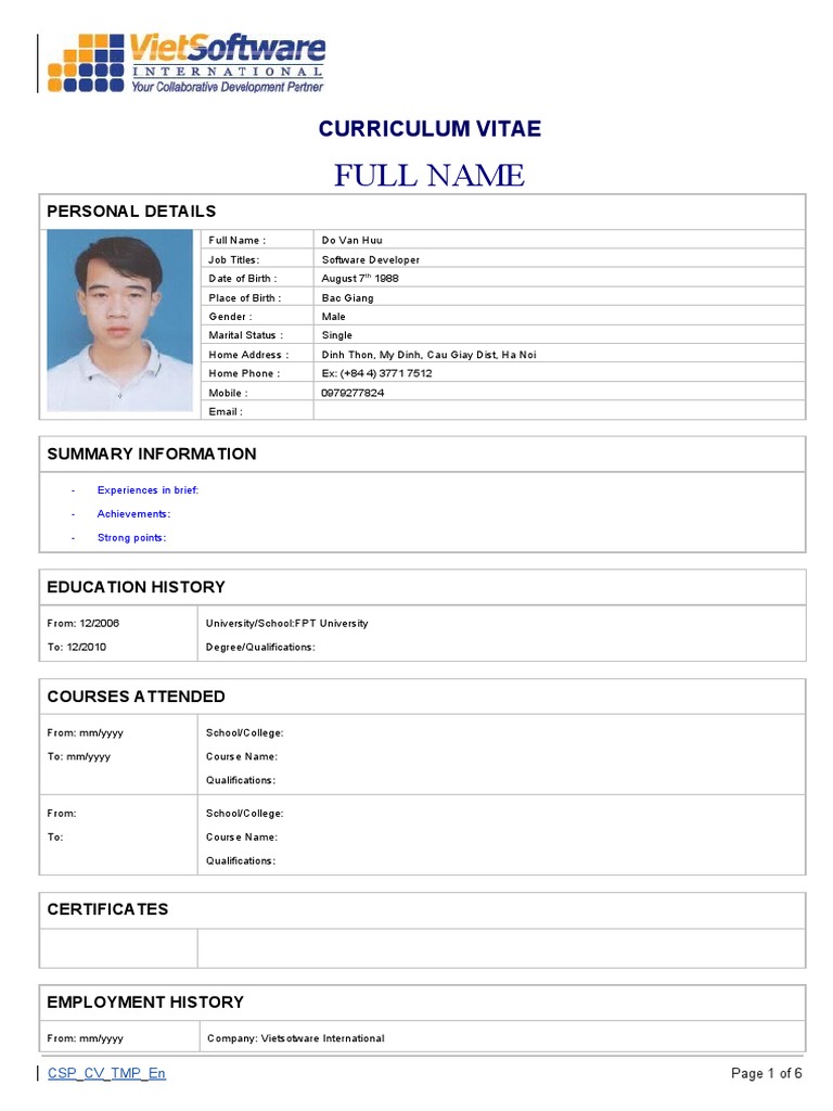 Software Developer CV | PDF | Computing | Software Development