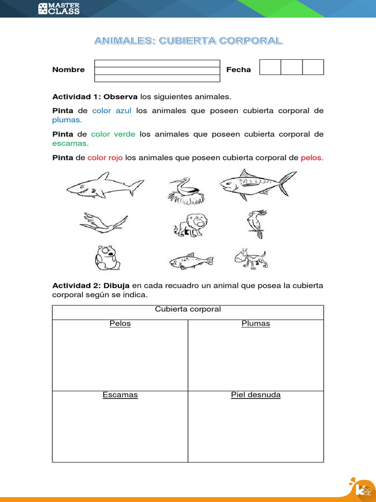 Guia Cubierta Corporal Animal | PDF