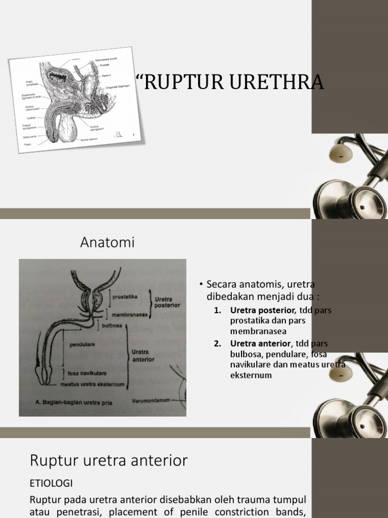 RUPTUR URETRA (Autosaved) | PDF | Kesehatan Holistik