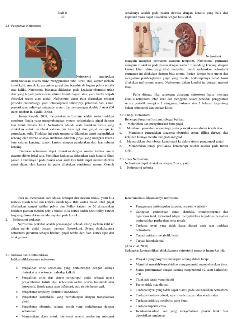 Panduan Lengkap Nefrostomi | PDF | Sains & Matematika
