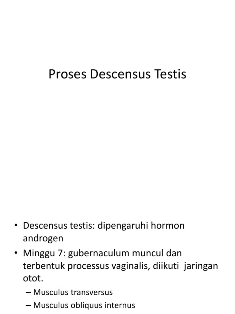 Embriologi Descensus Testis + Komplikasi | PDF