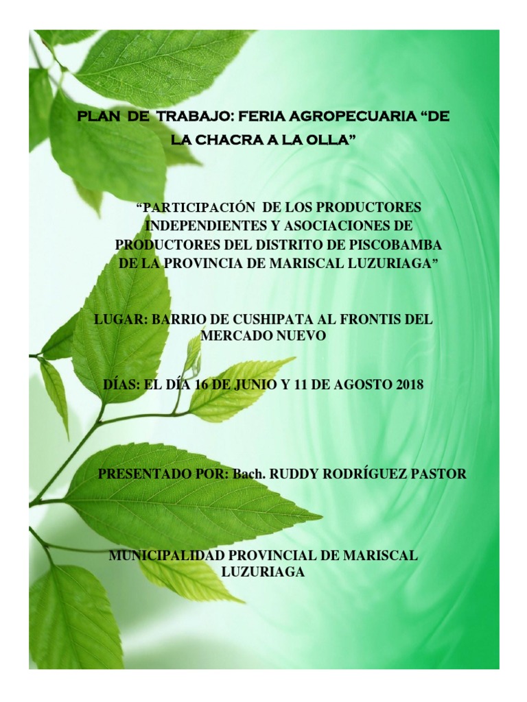 Plan de Trabajo de La Chacra A La Olla | PDF | Mercado (economía) | Agricultura