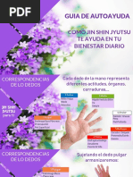 JIN SHIN JYUTSU Apertura 26 Cierres de Seguridad | PDF | Violencia | Agitación