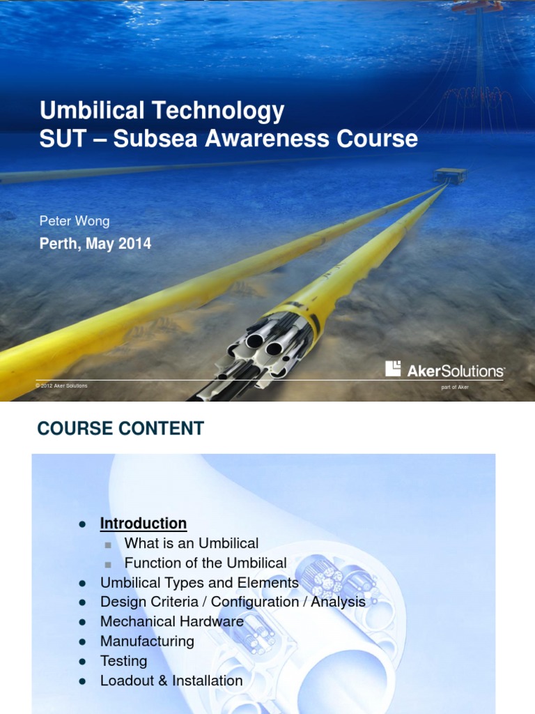 USB - Peter Wong - Umbilcals SUT Presentation May 2014 | PDF | Building ...